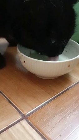 1000001656.mp4