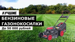 Лучшие бензиновые газонокосилки до 50 000 рублей