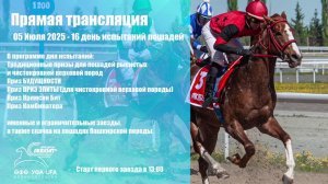 Прямая трансляция 05 Июля 2025 - 16 беговой день для лошадей рысистых пород