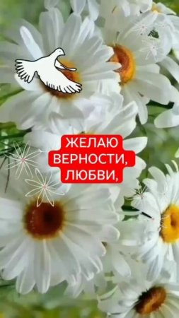 С Днём Семьи, Любви и Верности!