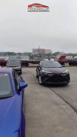 Забираем с таможни автомобили!