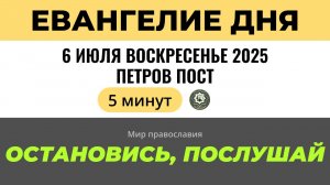 6 июля воскресенье Евангелие дня (5 минут)  2025 с толкованием #евангелие