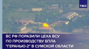 ВС РФ поразили цеха ВСУ по производству БПЛА "Геранью-2" у Конотопа Сумской области