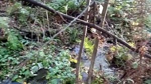 Mountain stream