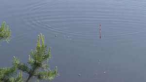 И квест прошли и рыбу нашли)) экстремальная рыбалка у нас получилось! Ливень Гроза нам не страшна))
