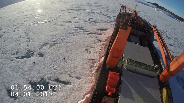 Ак. Фёдоров разгрузка (upload Fedorov) Timelapse 04.01.2017