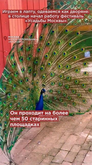 Играем в лапту, одеваемся как дворяне: в столице начал работу фестиваль «Усадьбы Москвы»