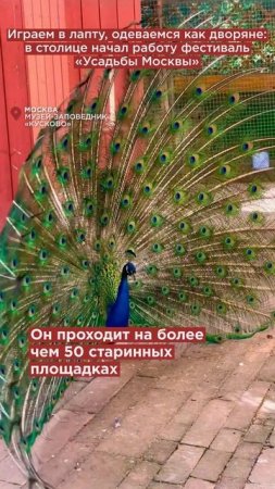 Играем в лапту, одеваемся как дворяне: в столице начал работу фестиваль «Усадьбы Москвы»