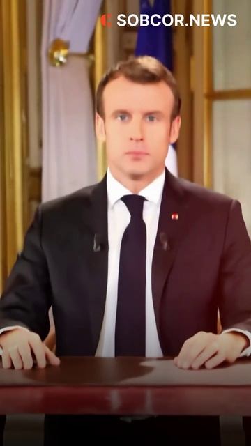 Политики в виде собак
#юмор #политика