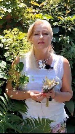 Волшебная ночь Ивана Купалы.