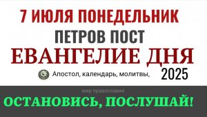 7 июля понедельник Евангелие дня 2025 с толкованием #евангелие