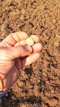 Откопали старую пломбу #shorts #откопали #стараяпломба #кладоискатели  #metaldetecting
