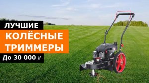 Лучшие колёсные триммеры до 30 000 рублей
