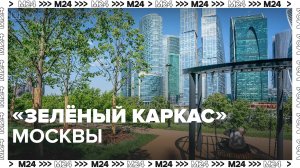Количество парков в Москве выросло в 8 раз за 15 лет — Москва 24|Контент