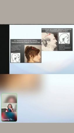 Что рассказывают лобные и теменные доли о вашем типе?