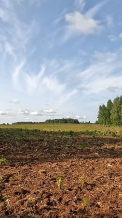 Просто красота Релакс #shorts #простокрасота #релакс #природа  #metaldetecting