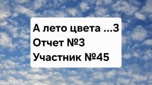 А лето цвета...3. Отчёт №3. Участник  №45.