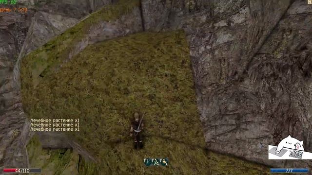 Gothic 2 YAUP | 1