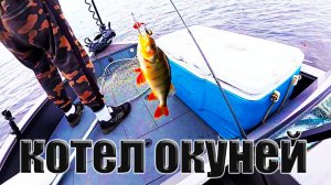 ОКУНИ РЫБИНСКОГО МОРЯ, РЫБАЛКА 15 МИНУТ, НЕБОЛЬШОЕ ВИДЕО КАК МЫ ГОНЯЛИ ОКУНЯ.