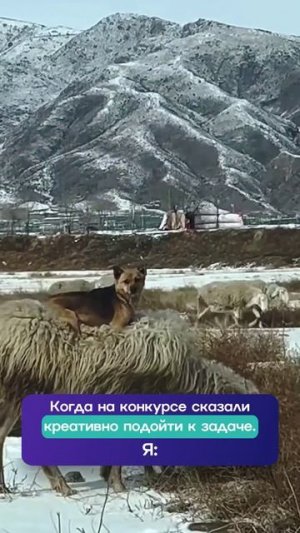 Креативный подход хорош в любой ситуации! #РоссияСтранаВозможностей