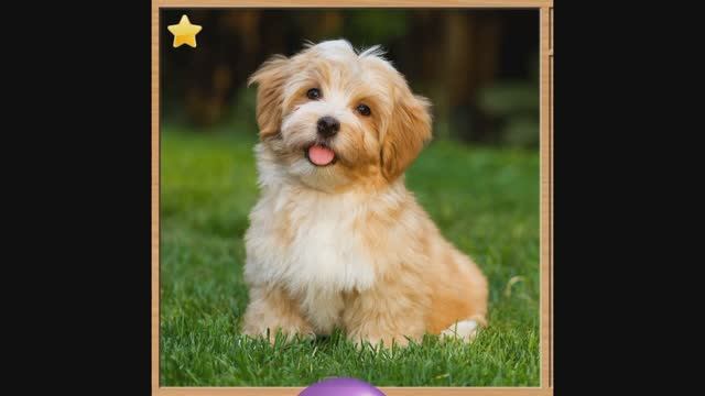 Детям . Развивающий мультфильм для детей