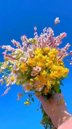 Цветы лета💐