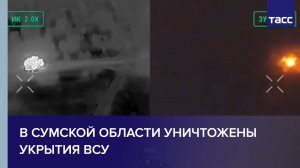 В Сумской области уничтожены укрытия ВСУ