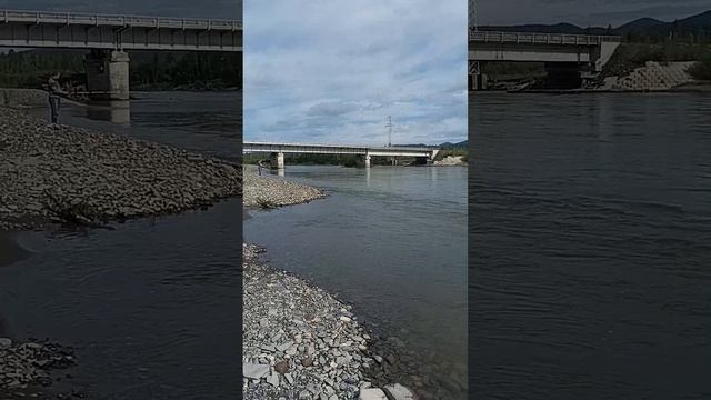 Колыма. Магаданская область. Медвежьи следы. Река Аян-Юрях