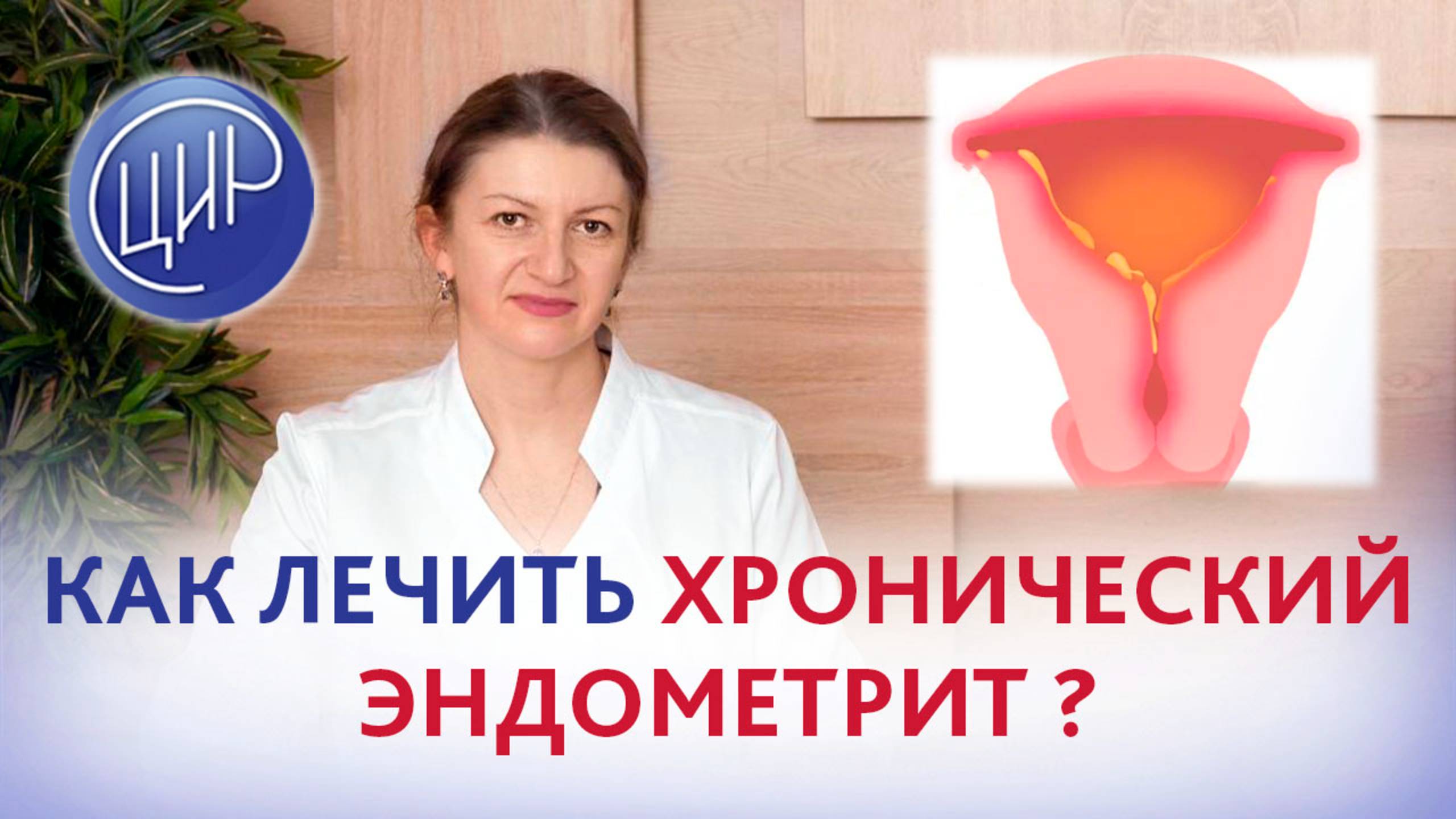 Как лечить хронический эндометрит? Дементьева С.Н.