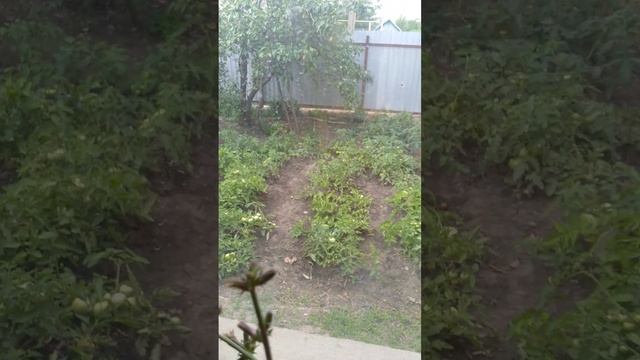 1000024153.mp4