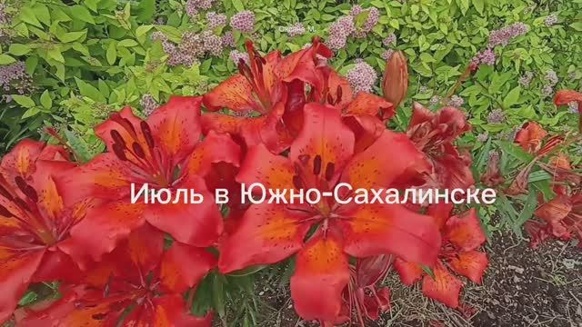 Зарисовки июля из Южно-Сахалинска. 1 часть.mp4