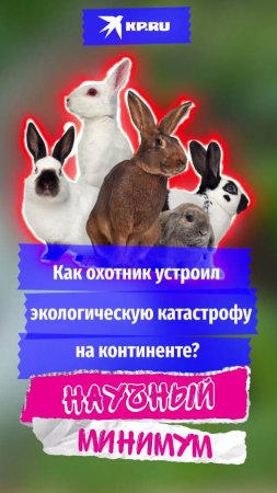 Как охотник устроил экологическую катастрофу на континенте?