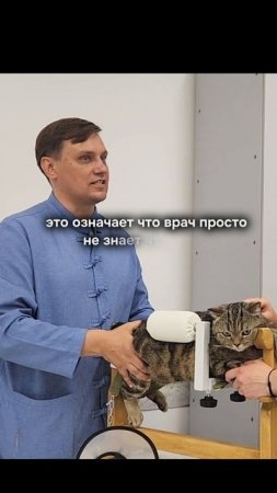 Согласны с данным утверждением? #лечение #польза