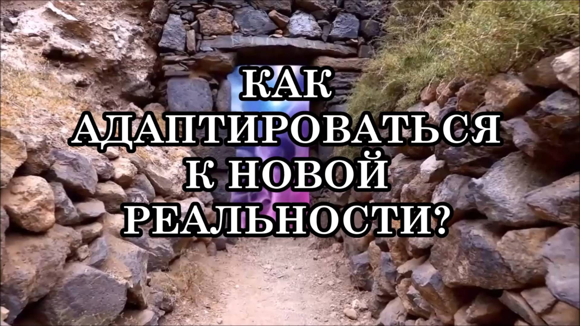 КАК АДАПТИРОВАТЬСЯ К НОВОЙ РЕАЛЬНОСТИ? СИМПТОМЫ НОВОЙ РЕАЛЬНОСТИ