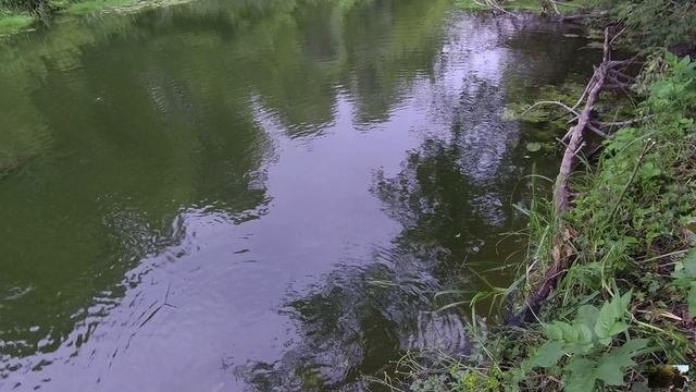 Рыбалка на р.Оскол. 14.06.2025г.