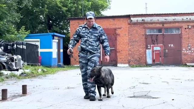 ⚡️ Урок профориентации для школьников от сотрудников МВД прошёл в Спасске-Дальнем