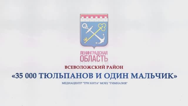35000 тюльпанов и один мальчик