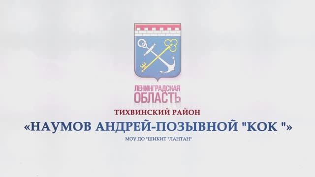НАУМОВ АНДРЕЙ-ПОЗЫВНОЙ «КОК»