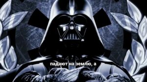 Муравей Дарт Вейдер: Уникальные суперспособности планирующих муравьев Cephalotes atratus