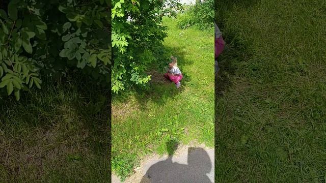 Играем в прятки  07.0725