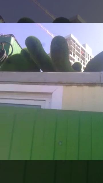 Страшилка: лохматая рука _20250706_161529