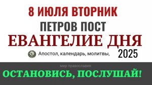 8 июля вторник Евангелие дня 2025 с толкованием #евангелие