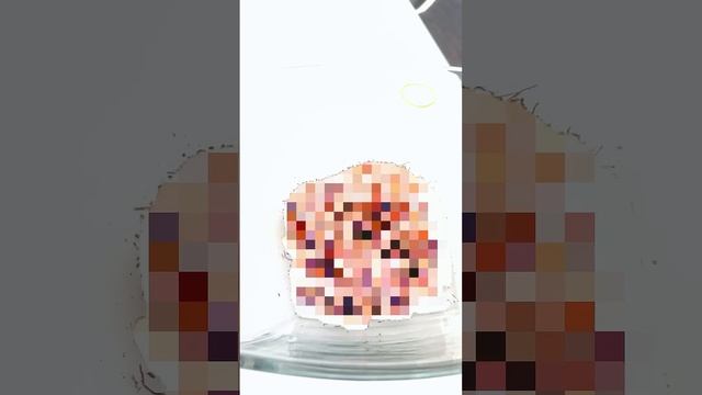 ЖЕСТЬ в СЕКРЕТНОЙ КОРОБКЕ!