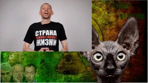 Сводки с фронтов с Котом Костяном от 07.07.25