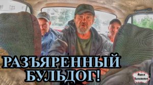 РАЗЪЯРЕННЫЙ БУЛЬДОГ / 69 серия (18+)