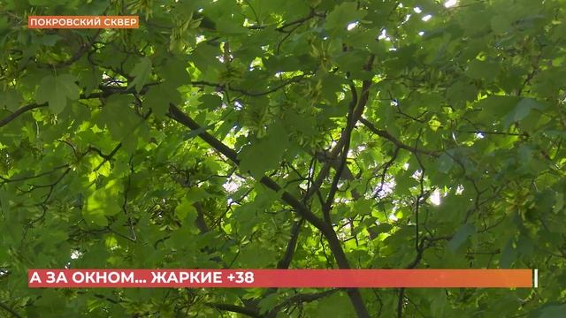 А за окном. 7 июля 2025