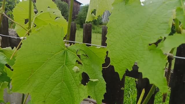 Во Урал даёт! Поселок Уфимский сегодня ночью... Все покрошило в салат.