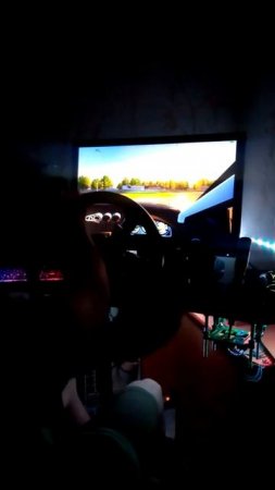 Assetto corsa - Logitech Driving Force GT and Nissan Silvia S15