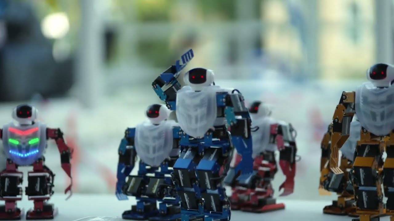 Robot