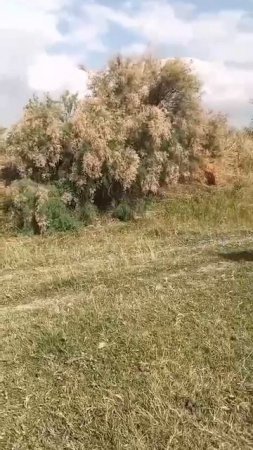 На Ставрополье нашли девочку-подростка, специально устроившую пожар